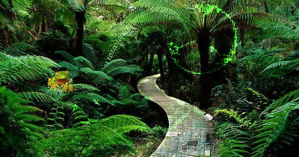 Egyre több a zöld iroda - Piac&Profit