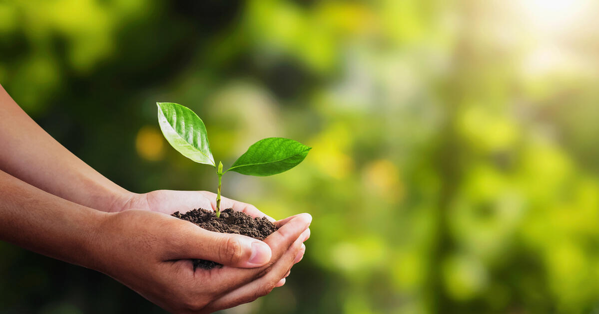 Ebben elsőként léphet Magyarország az EU-ban, fellélegezhetnek a cégek ...