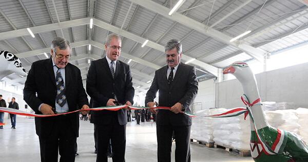 Pénz áll a házhoz! Előbb és többet fizet a gazdáknak az MVH - Piac&Profit